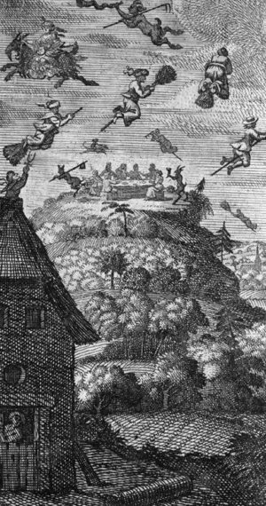 The Witch's Broom | The Sabbath Project